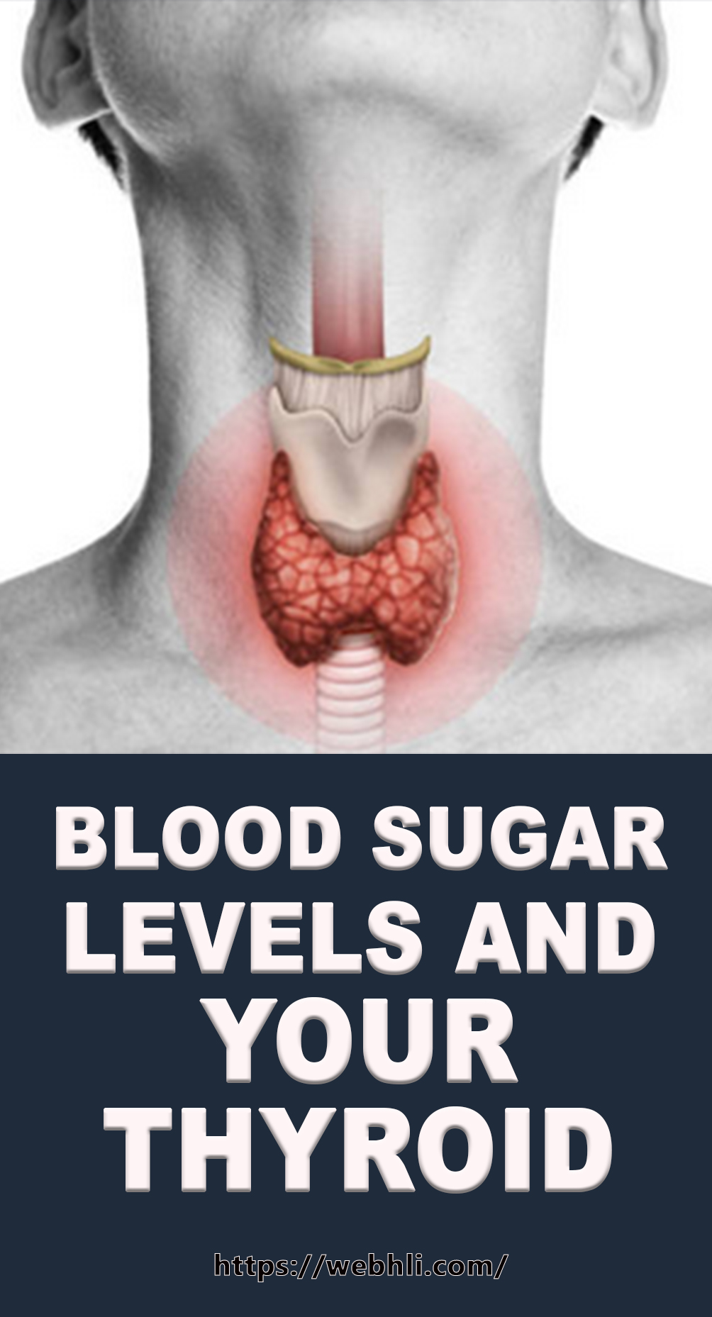 Blood Sugar Levels and Your Thyroid | Healthy Lifestyle