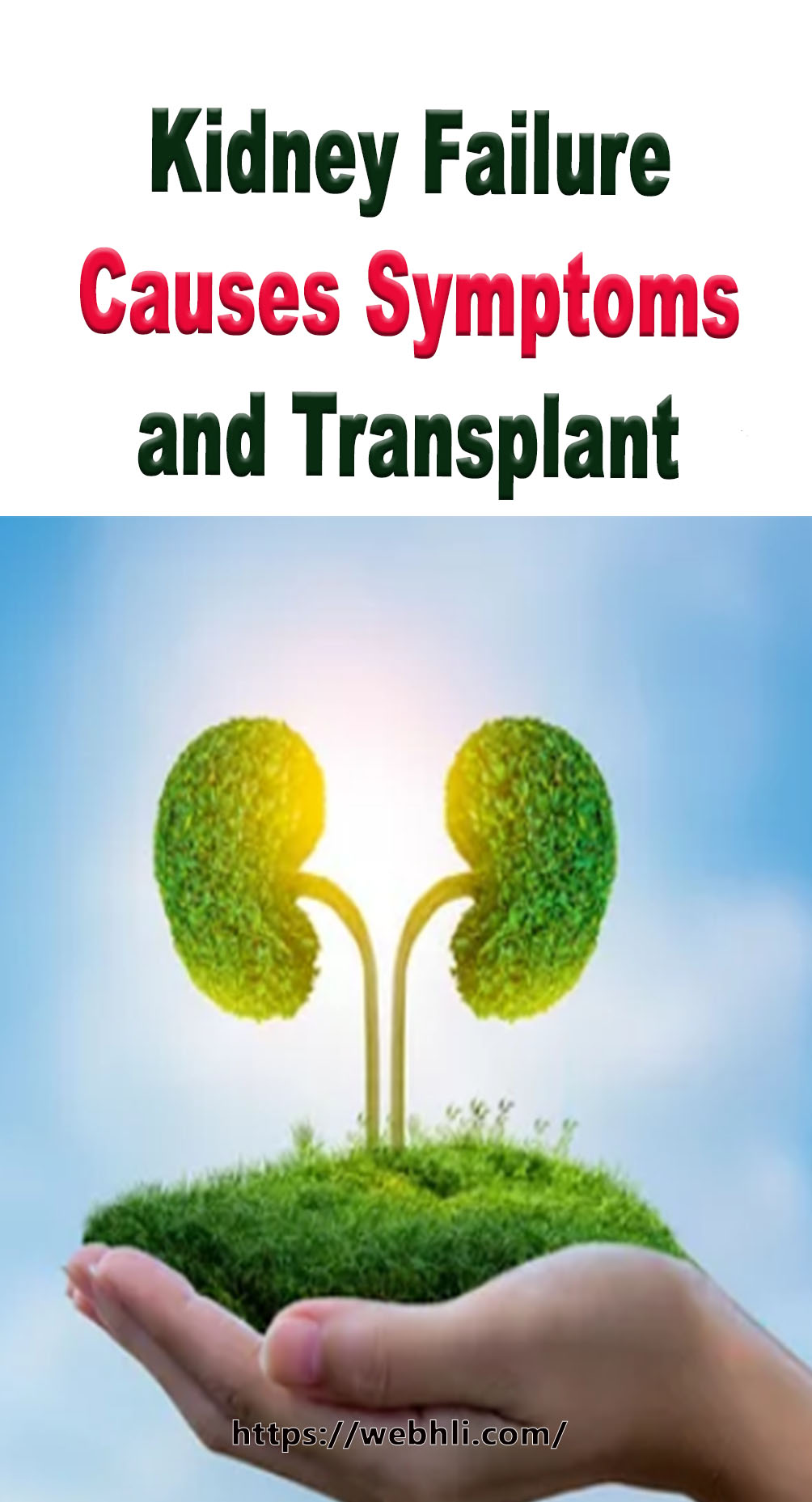 Transplanted Kidney Failure Symptoms – BPJN