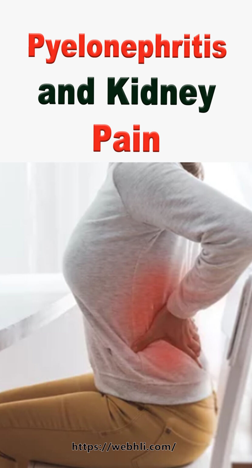 Pyelonephritis and Kidney Pain | Healthy Lifestyle