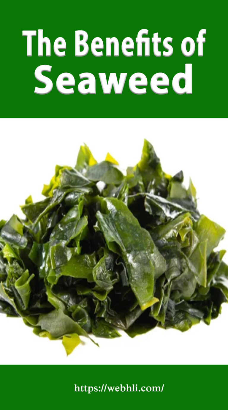 The Benefits of Seaweed: Its Vitamins and Importance to Your Overall Health | Healthy Lifestyle