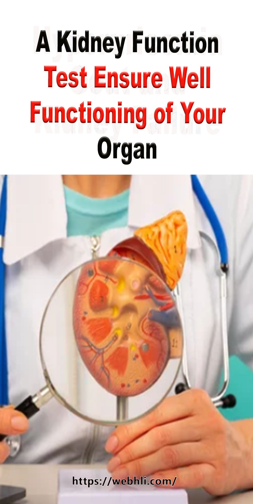 A Kidney Function Test Ensure Well Functioning of Your Organ | Healthy ...