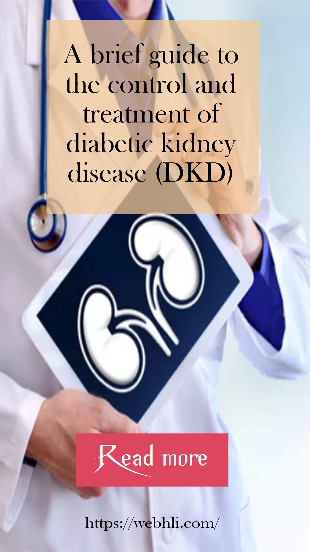 A brief guide to the control and treatment of diabetic kidney disease ...