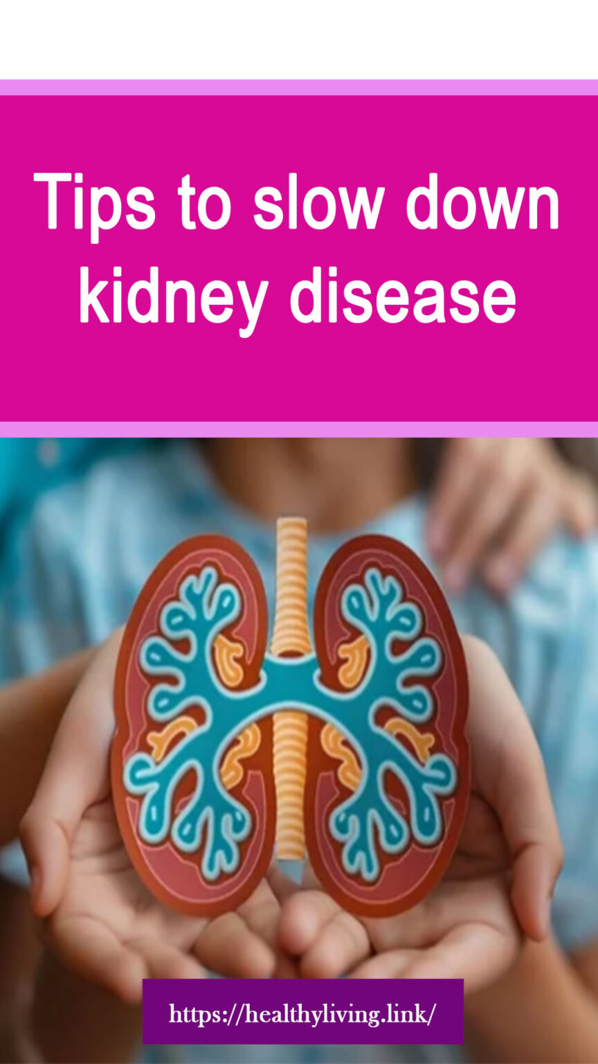 Tips to Slow Down Kidney Disease | Healthy Lifestyle